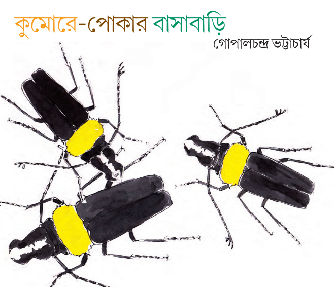 কুমোরে পোকার বাসাবাড়ি গল্পের প্রশ্ন উত্তর | গোপালচন্দ্র ভট্টাচার্য ...